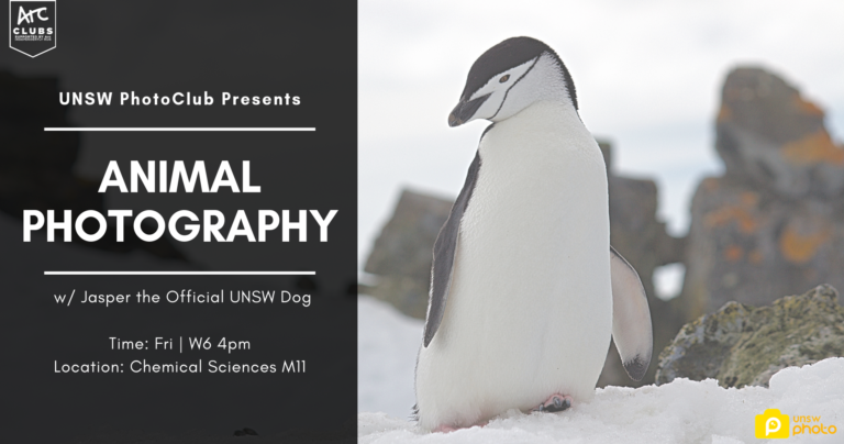 Week 6 – Animal Photography – UNSW PhotoSoc