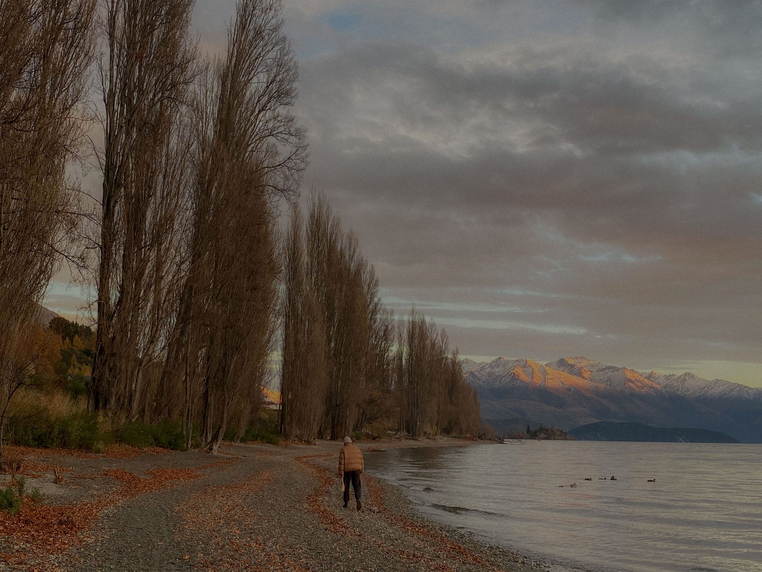 Member’s Photos – UNSW PhotoClub